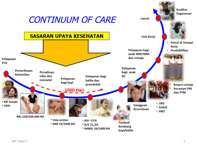 Continuum of Care | PDF