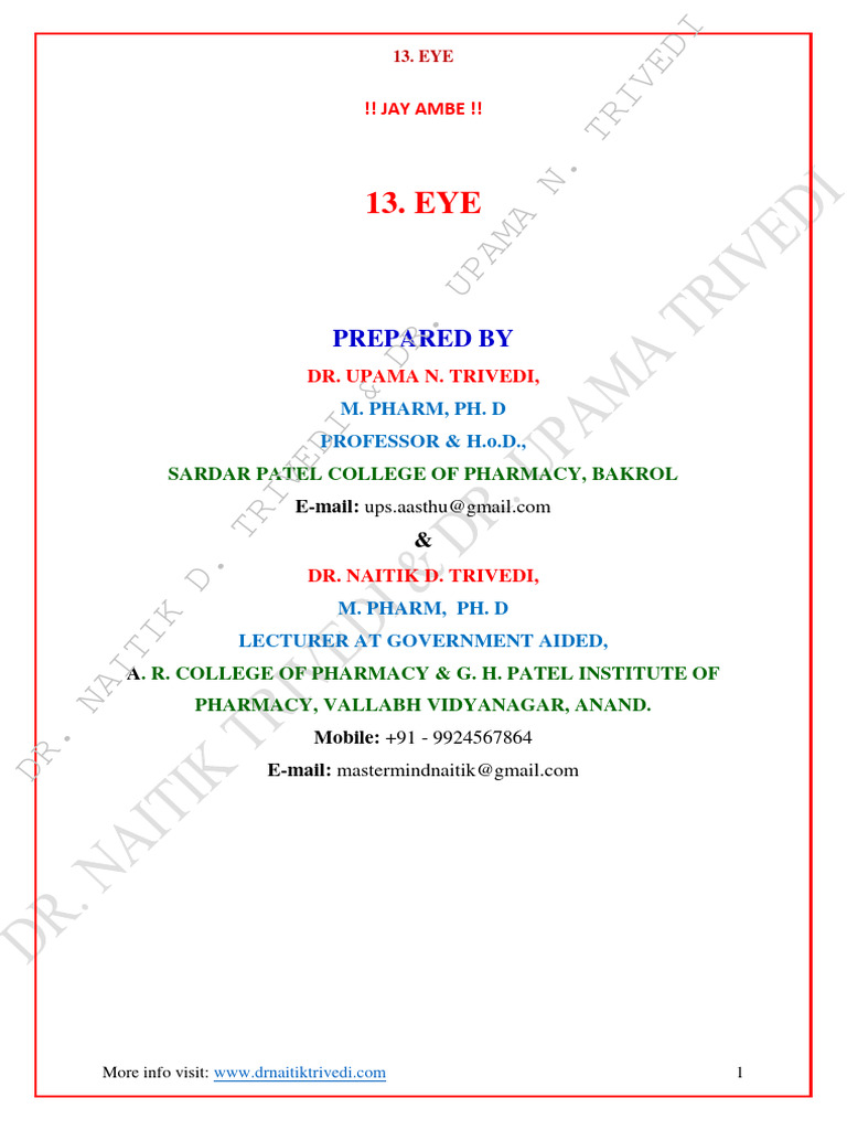 13 - Eye | PDF | Retina | Human Eye