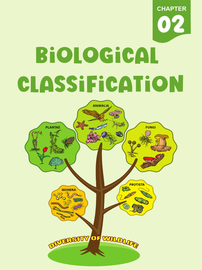 Biological Classification | PDF | Fungus | Spore
