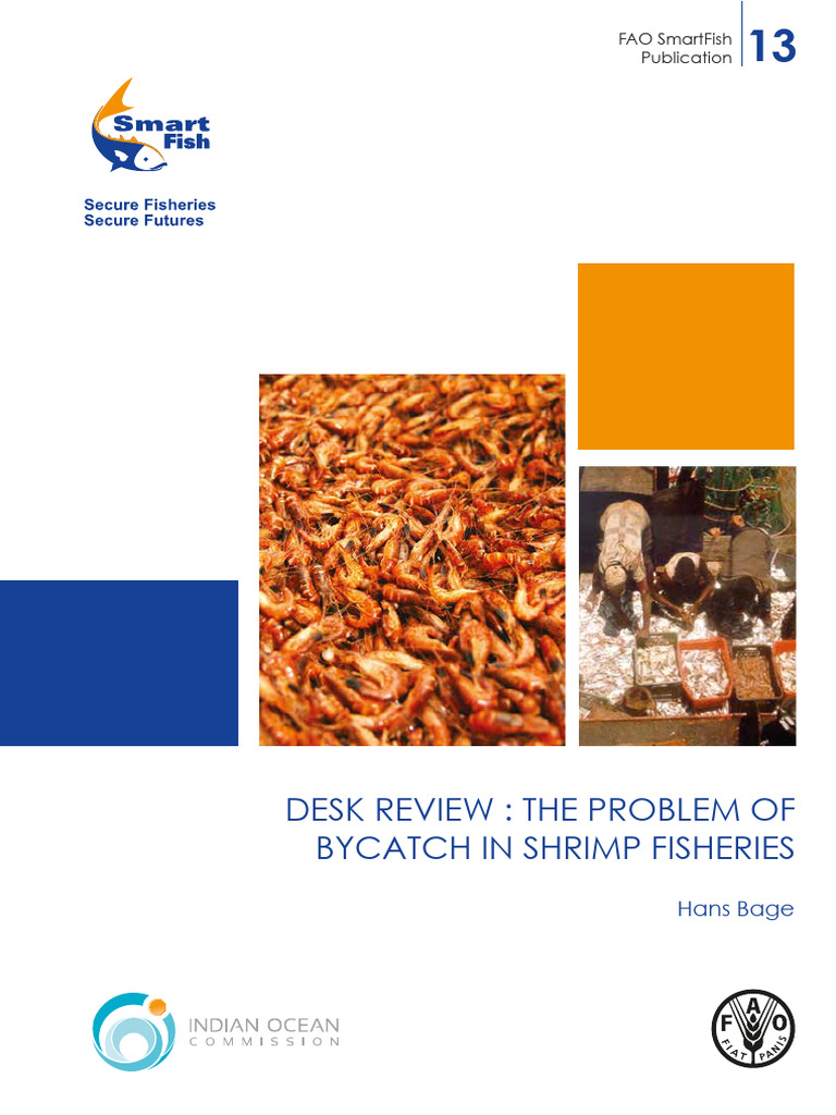 Desk Review: The Problem of Bycatch in Shrimp Fisheries | PDF ...