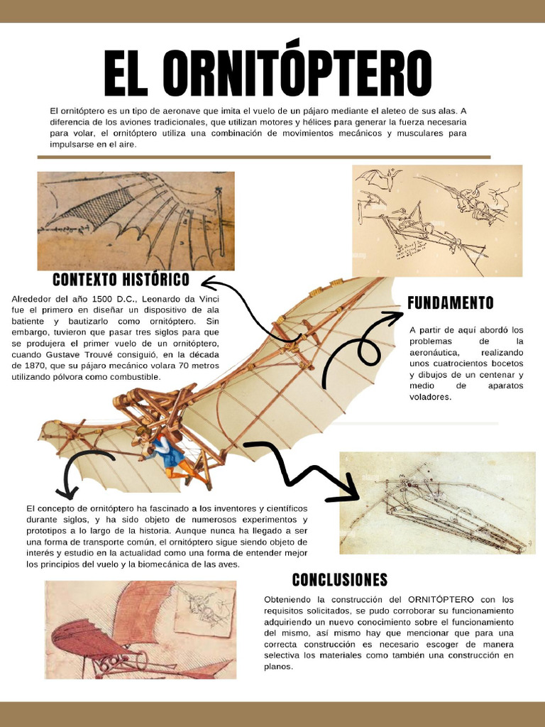 Ornitóptero | PDF