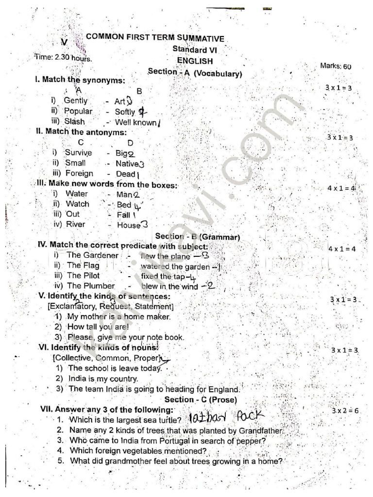 6th English Term 1 Exam Ques | PDF