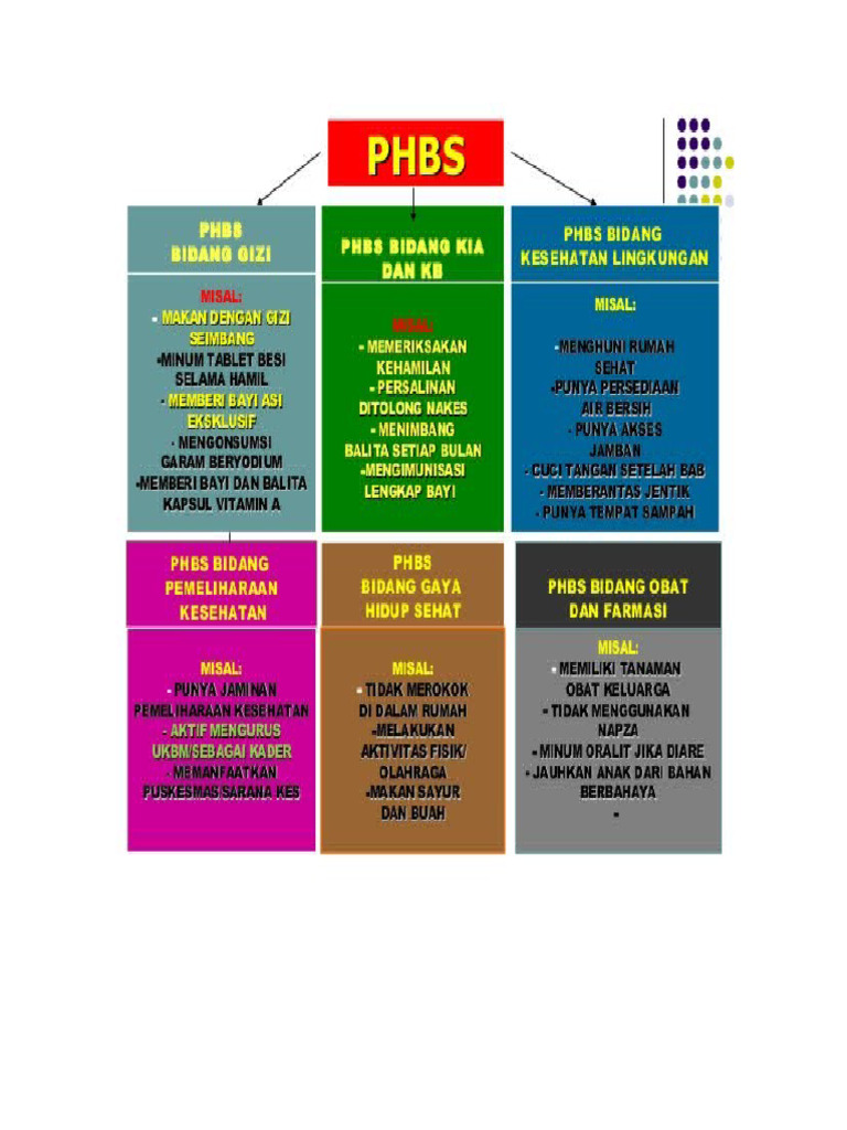 PHBS | PDF