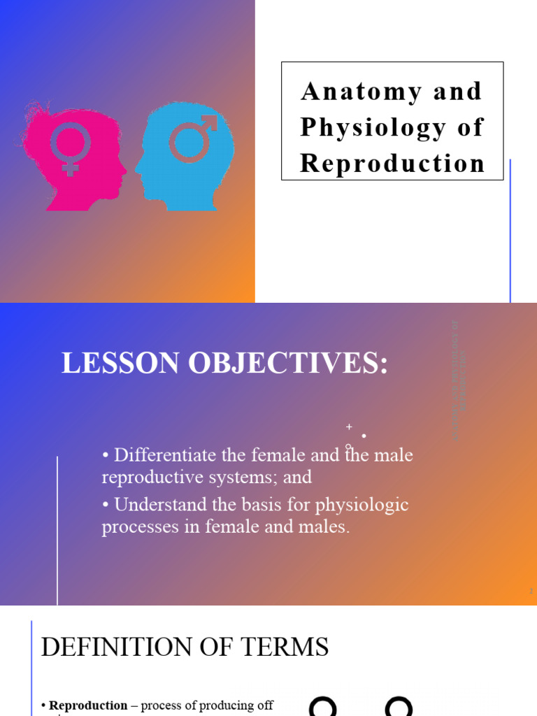 Anatomy and Physiology of Reproduction | PDF