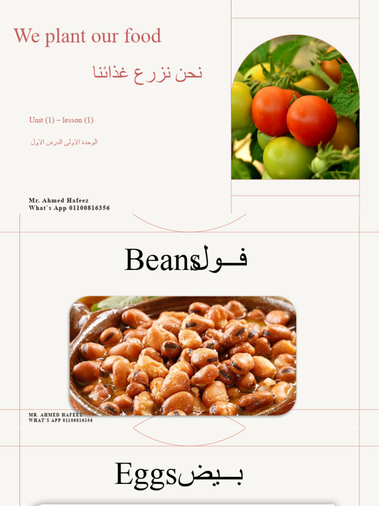 Growing Our Food: Lesson 1 | PDF