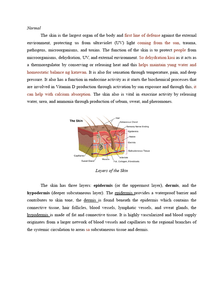 Anatomy of The Skin | PDF