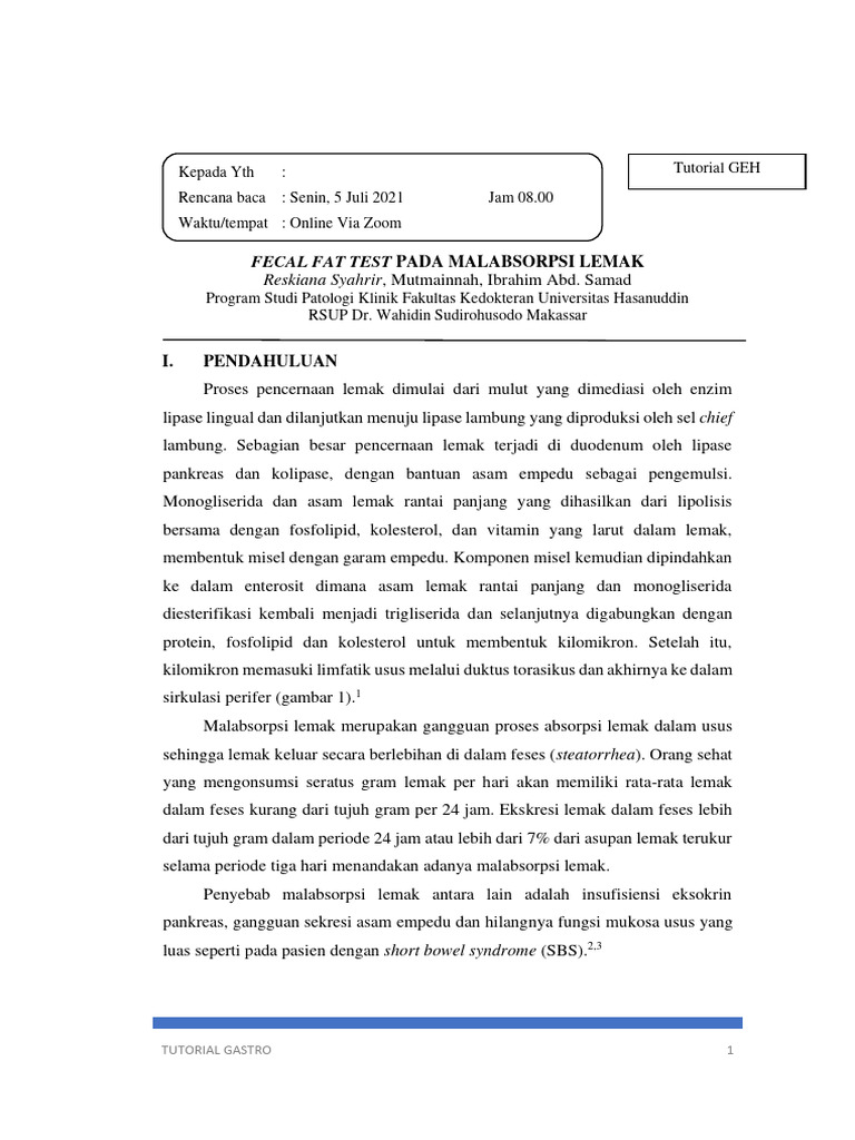 Fecal Fat Test untuk Malabsorpsi Lemak | PDF | Kesehatan Holistik ...