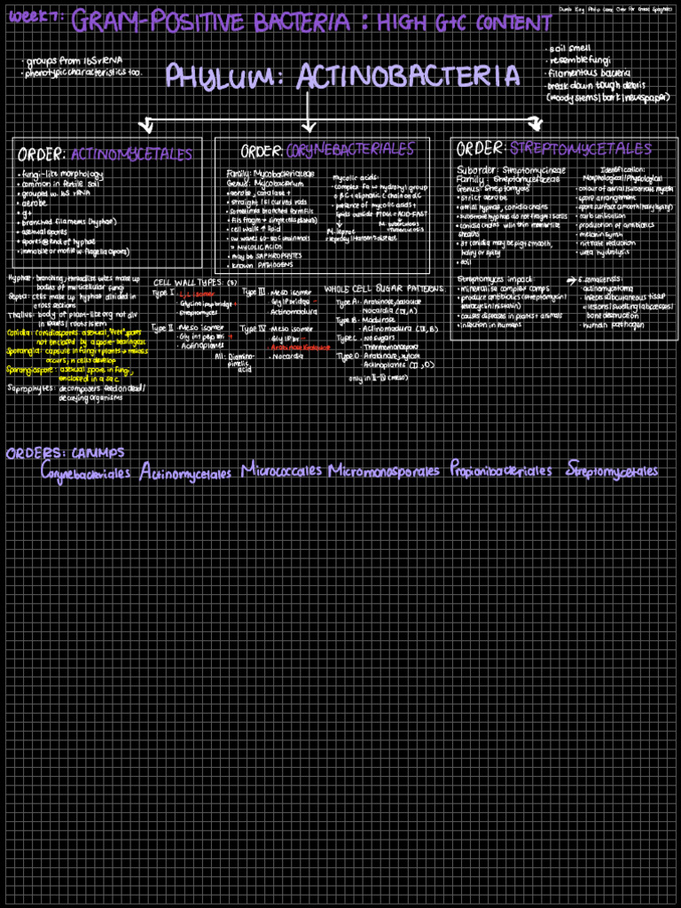 Stellenbosch University Microbiology 244 Week 7 High GC Gram Positive ...