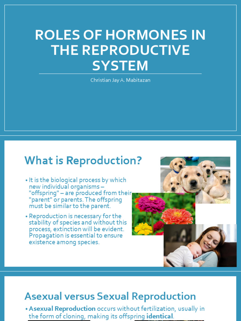 Roles of Hormones in The Reproductive System | PDF