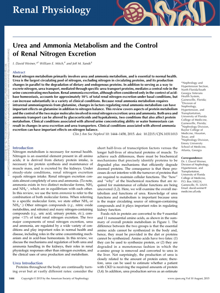 (Urologi) Urea and Ammonia Metabolism and The Control of Renal Nitrogen ...