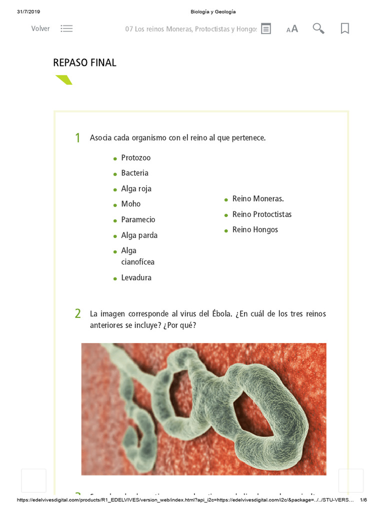 U7.8.repaso Final | PDF | Algas | Virus