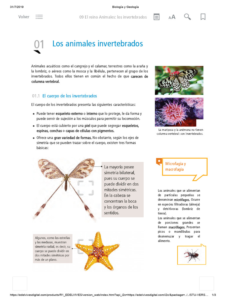 U9.1. Los Animales Invertebrados | PDF