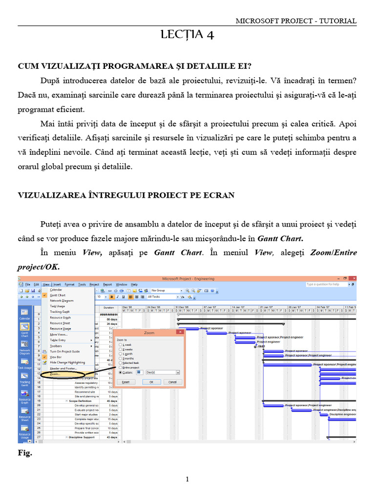 Microsoft Project Tutorial RO L4 | PDF