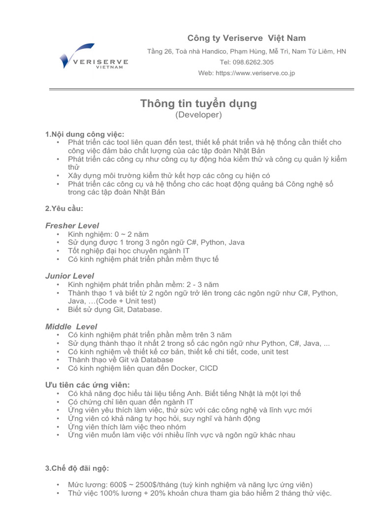 VSVN JD Developer | PDF