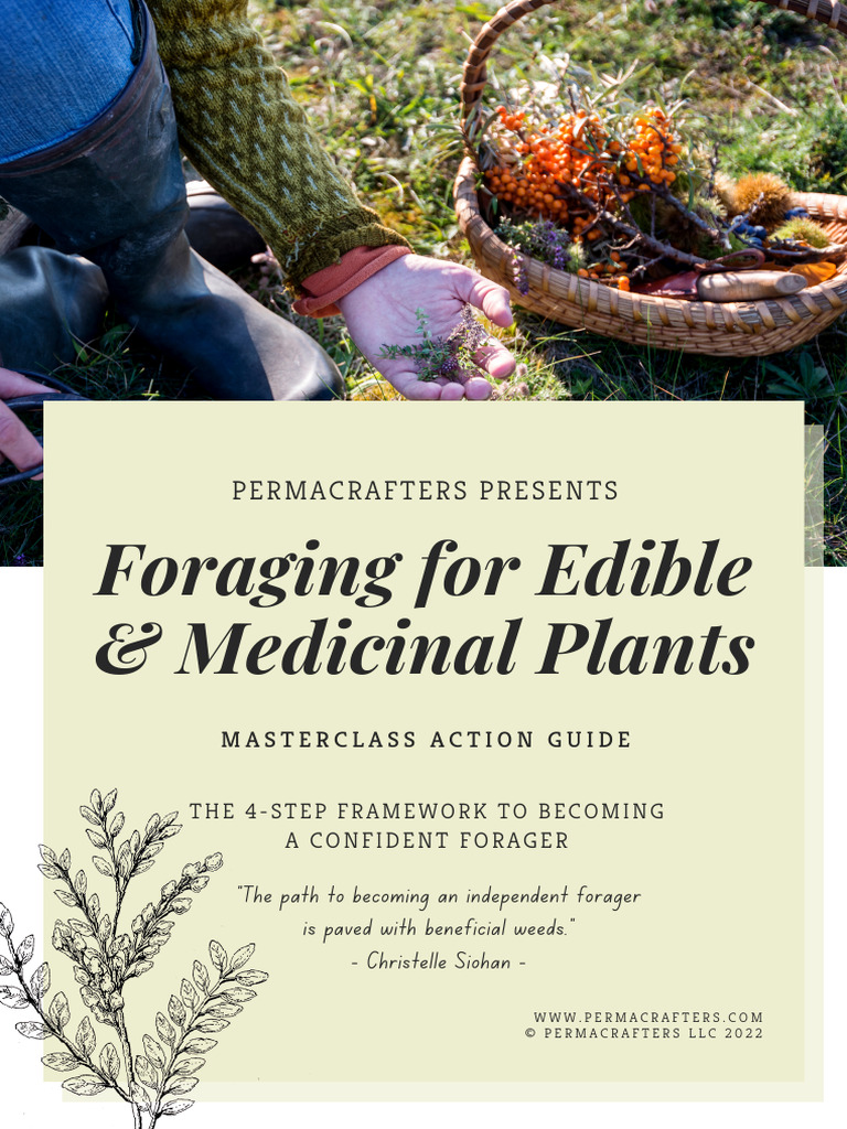 Foraging For Edible Medicinal Plants MASTERCLASS ACTION GUIDE | PDF