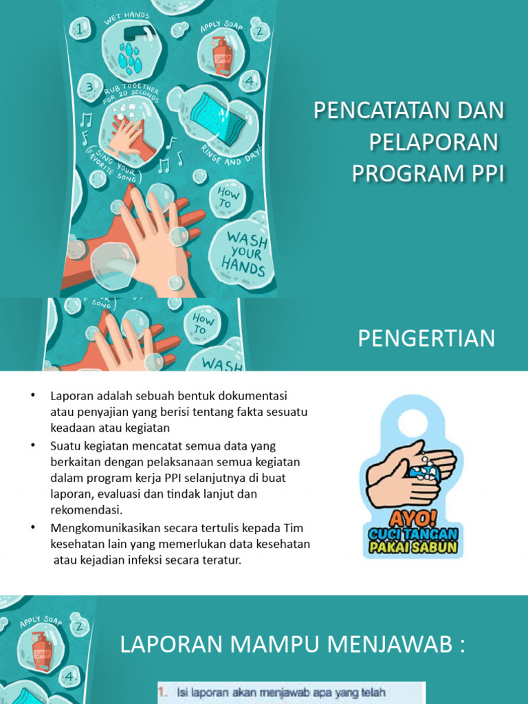 Pencatatan & Pelaporan Ppi | PDF