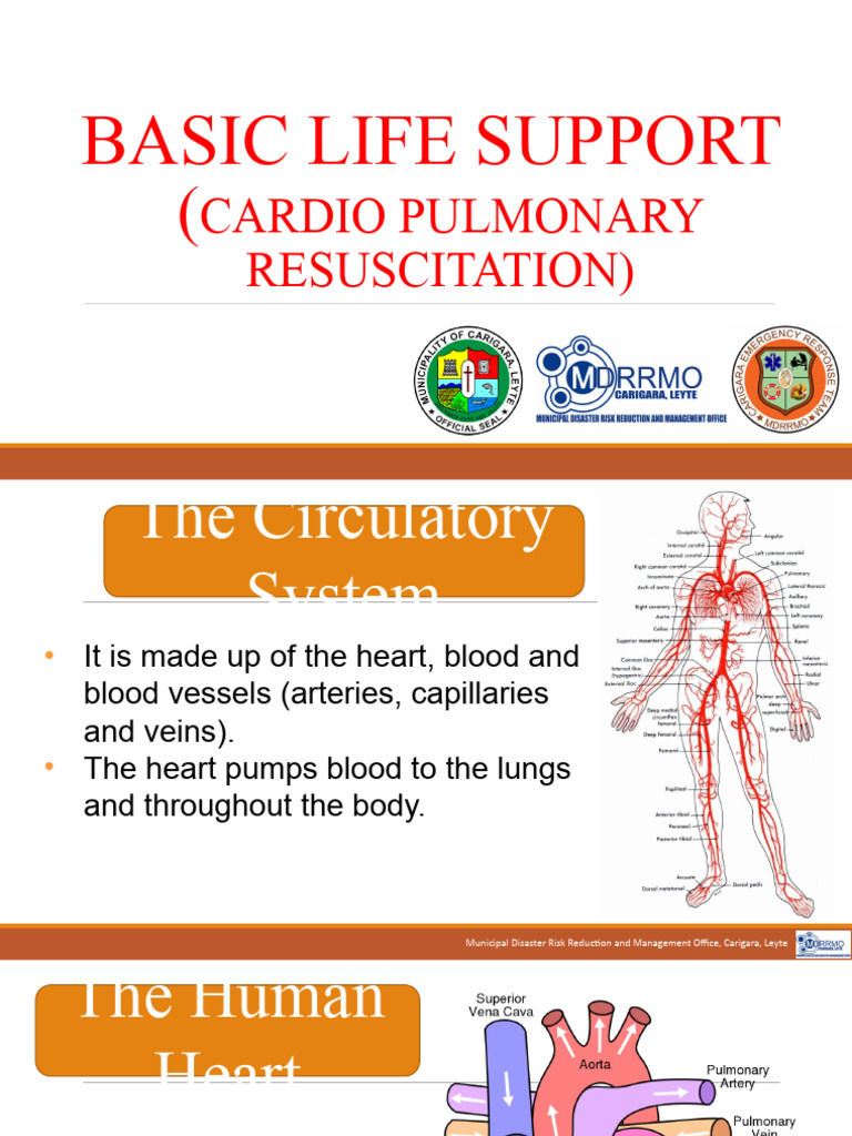 5 Basic Life Support CPR | PDF | Cardiopulmonary Resuscitation | Heart