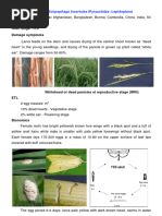 ASTM C90 Standard Specification For Loadbearing Concrete Masonry Units ...