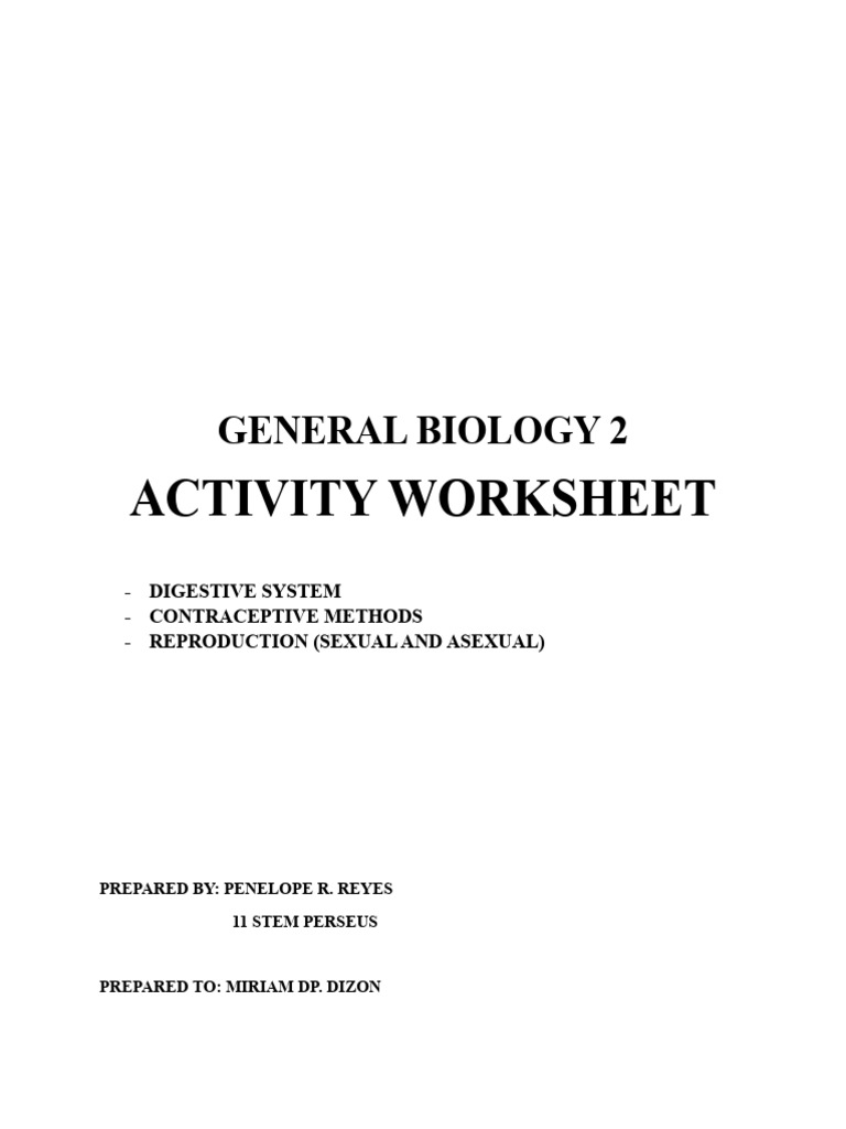 Activity Worksheets | PDF