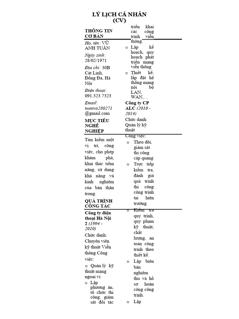 CV Vu Anh Tuan | PDF