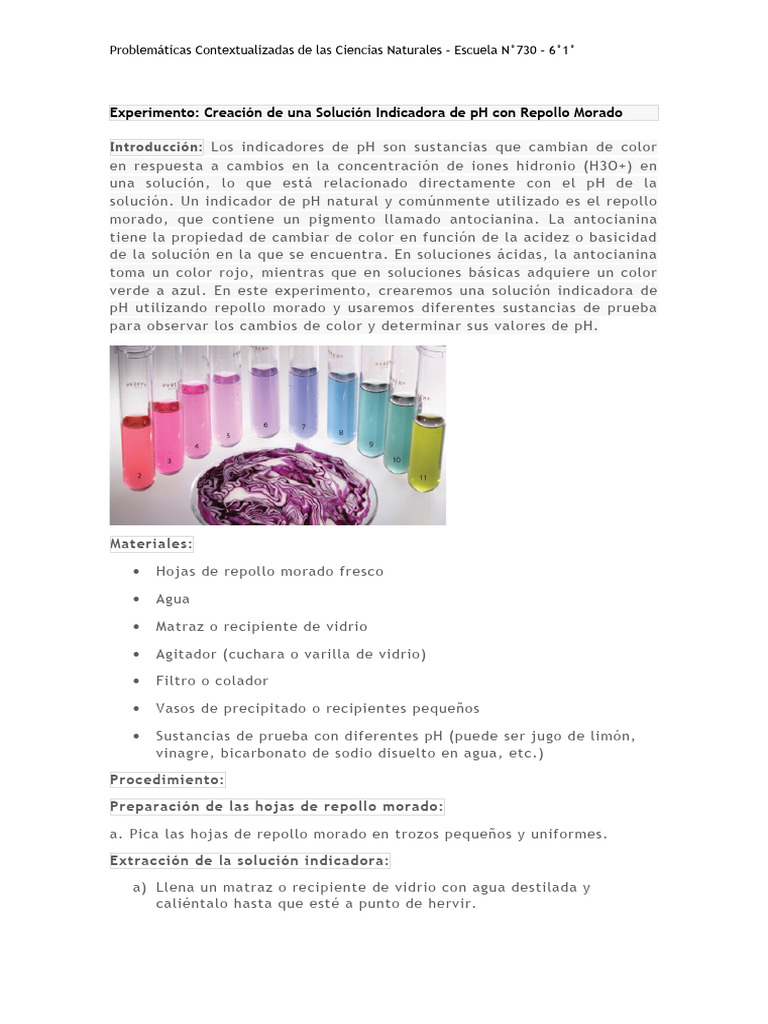 Experimento PH | PDF | Ph | Agua