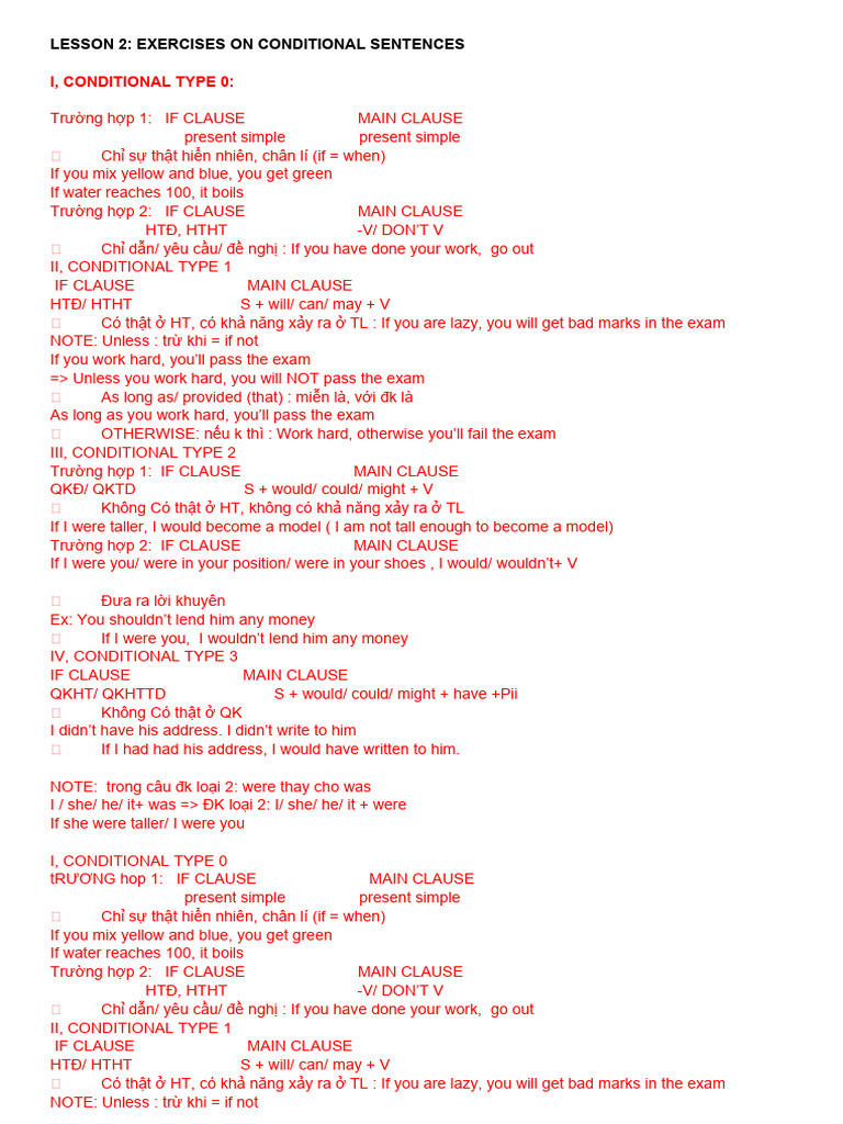 LESSON 2. EXERCISES ON CONDITIONAL SENTENCES. HW | PDF