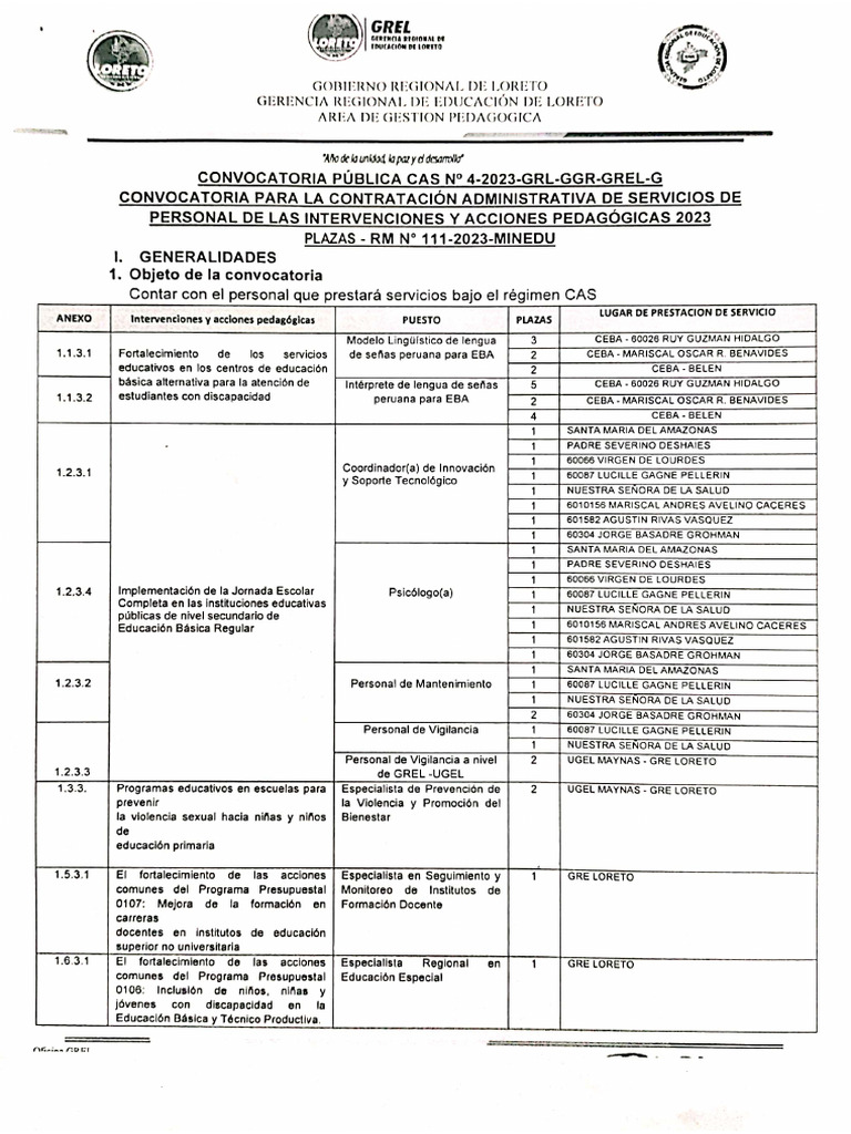 Modelo de Perfiles para Convocatorias | PDF