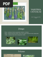 Sandra Janusoniene - Baltu Zenklai Ir Simboliai | PDF