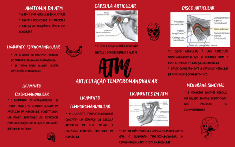 ATM - Anatomia Cabeça e Pescoço | PDF | Sistema Locomotor | Anatomia humana