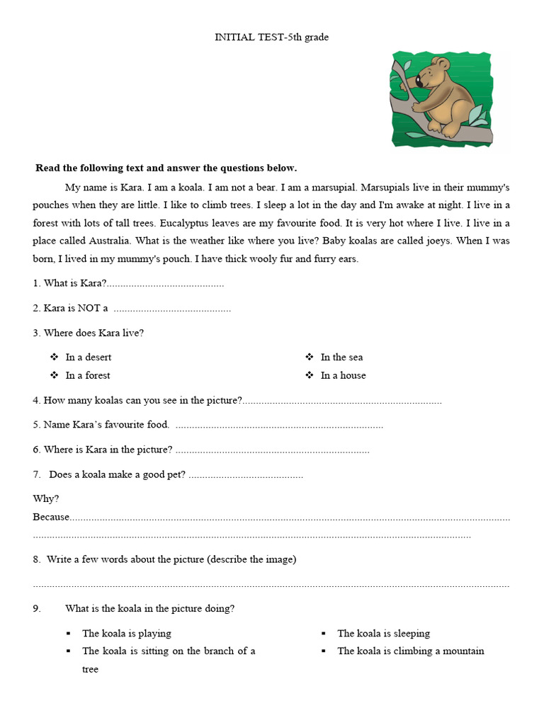 5th Grade Koala Reading Comprehension | PDF | Koala | Marsupials