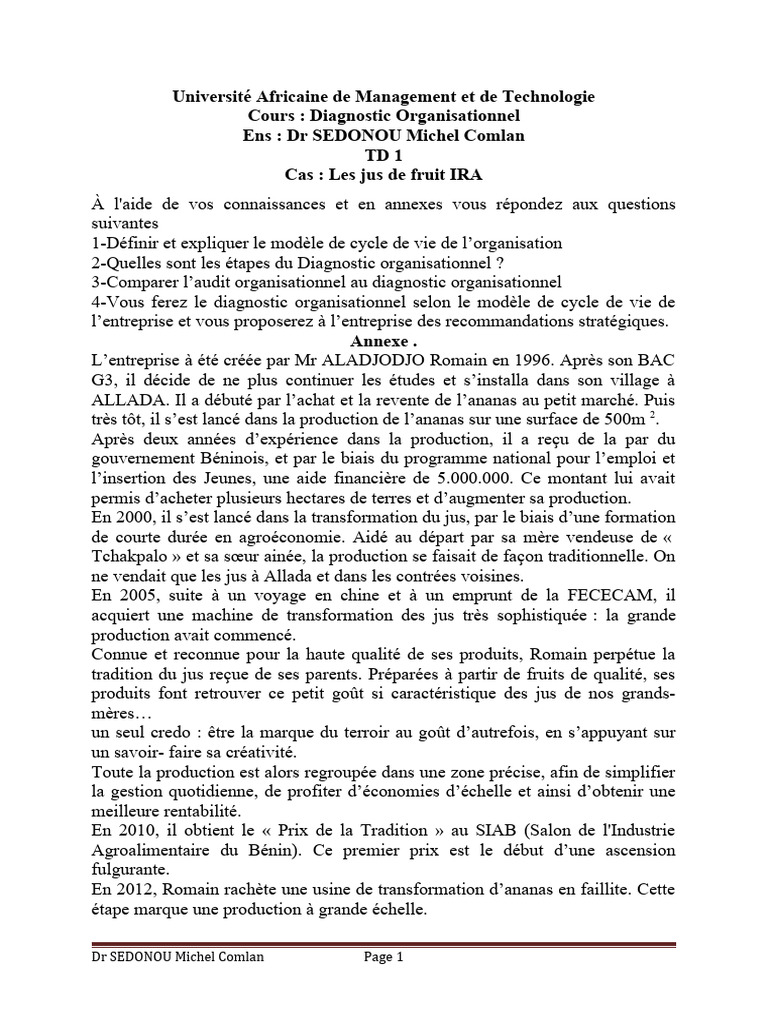 Diagnostic Organisationnel des Jus IRA | PDF | Business | Marque