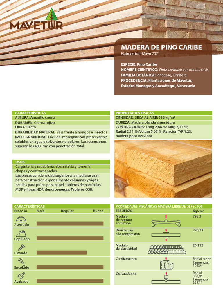 Ficha Tecnica Madera Aserrada | PDF | Madera | Sector secundario de la economía