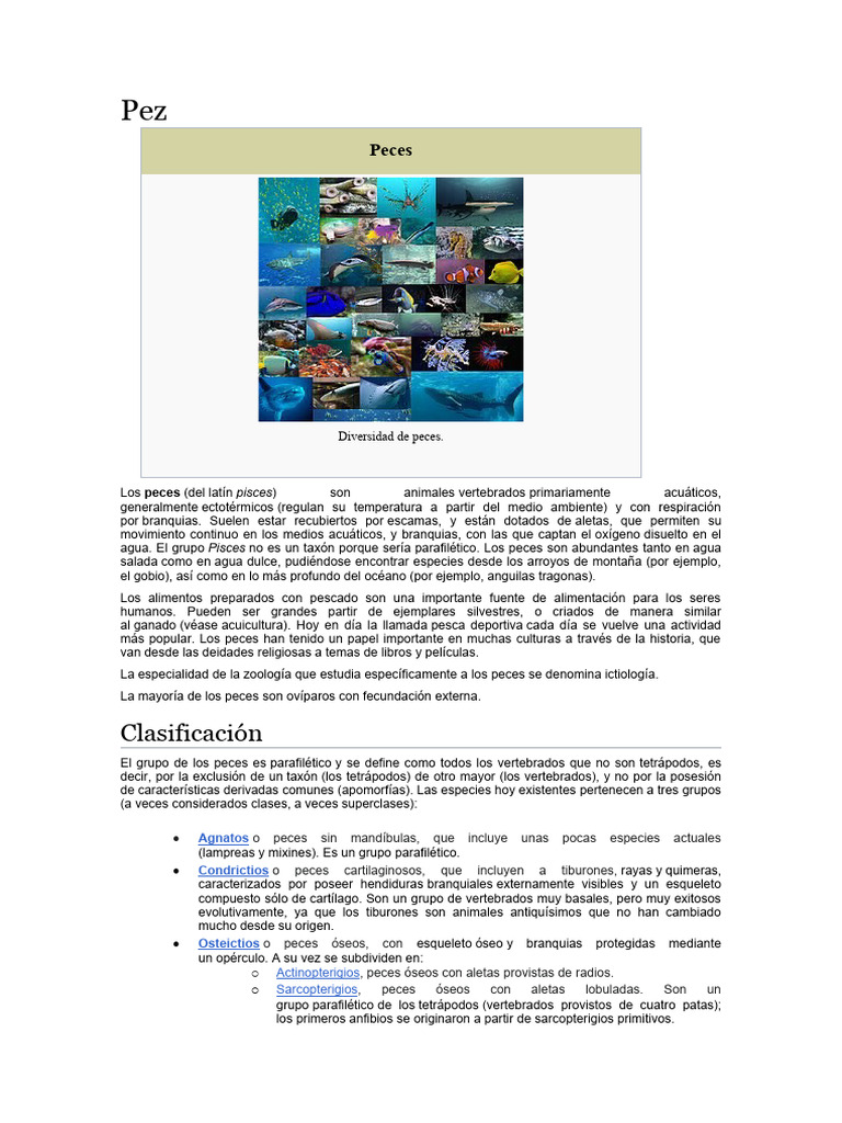 Diversidad y Anatomía de los Peces | PDF | Pescado | Vertebrados