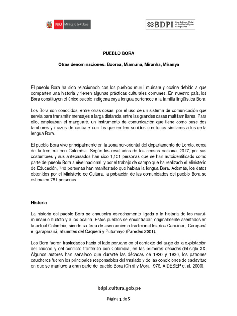 Ficha Bora | PDF