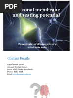 Metaneuron Manual | PDF | Inhibitory Postsynaptic Potential | Membrane ...