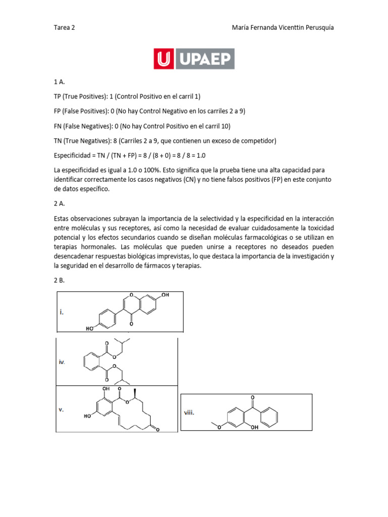 Actividad 2 - BiologíaMolecular - Mafer | PDF | Adn | Reparación de adn