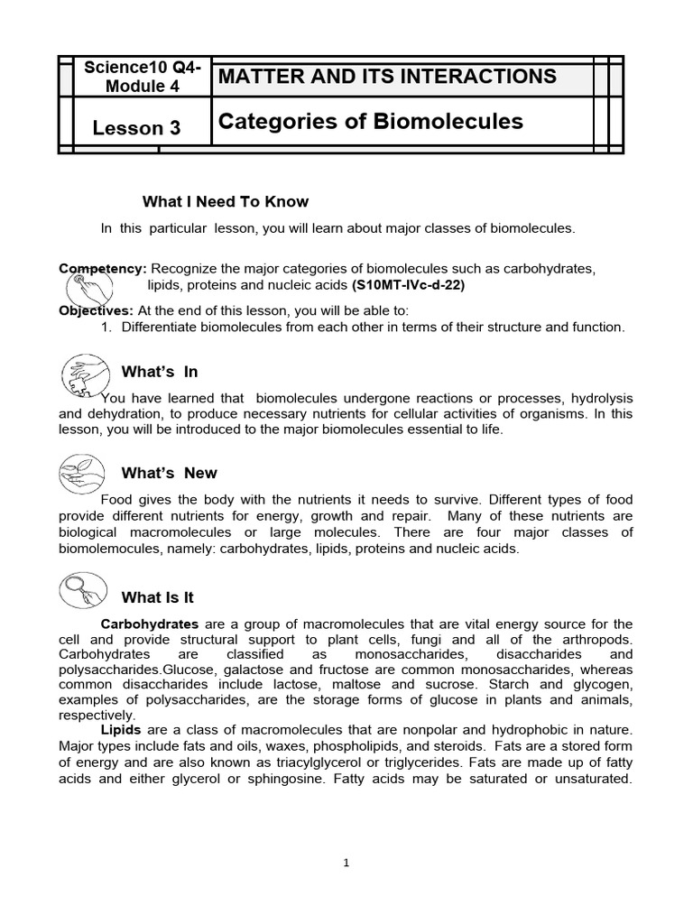Science-10 Q4 Module-4 Week-4 | PDF | Biomolecules | Biosynthesis