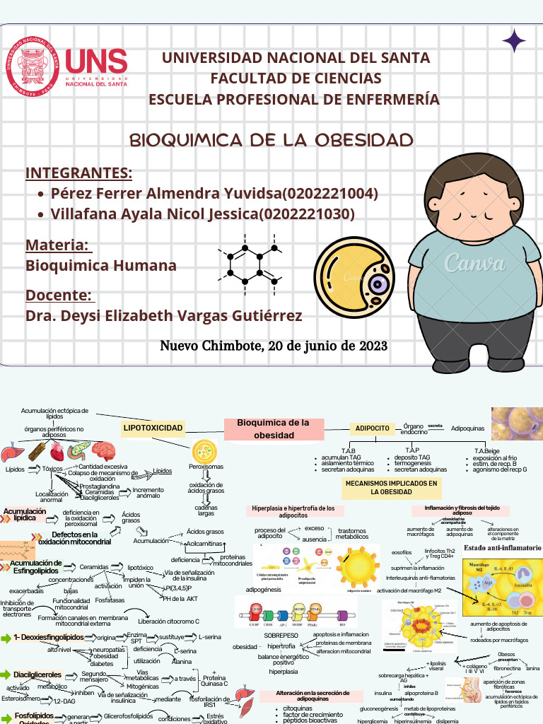 Bioquimica de La Obesidad | PDF