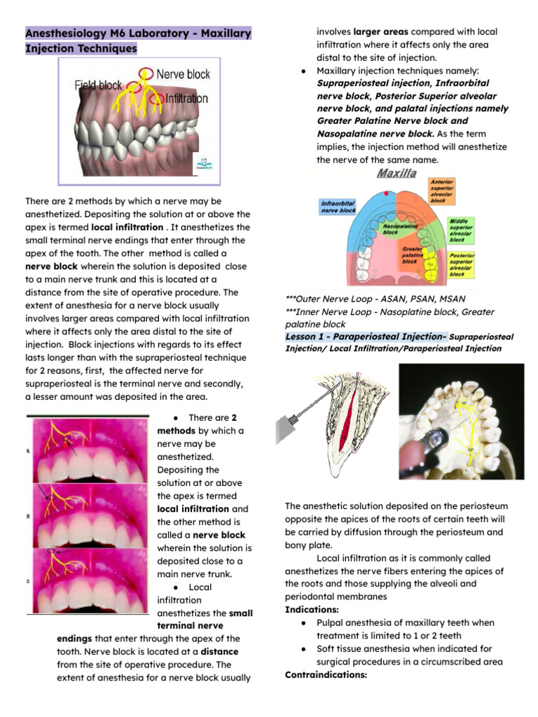 Injection Technique | PDF | Anesthesia | Human Anatomy