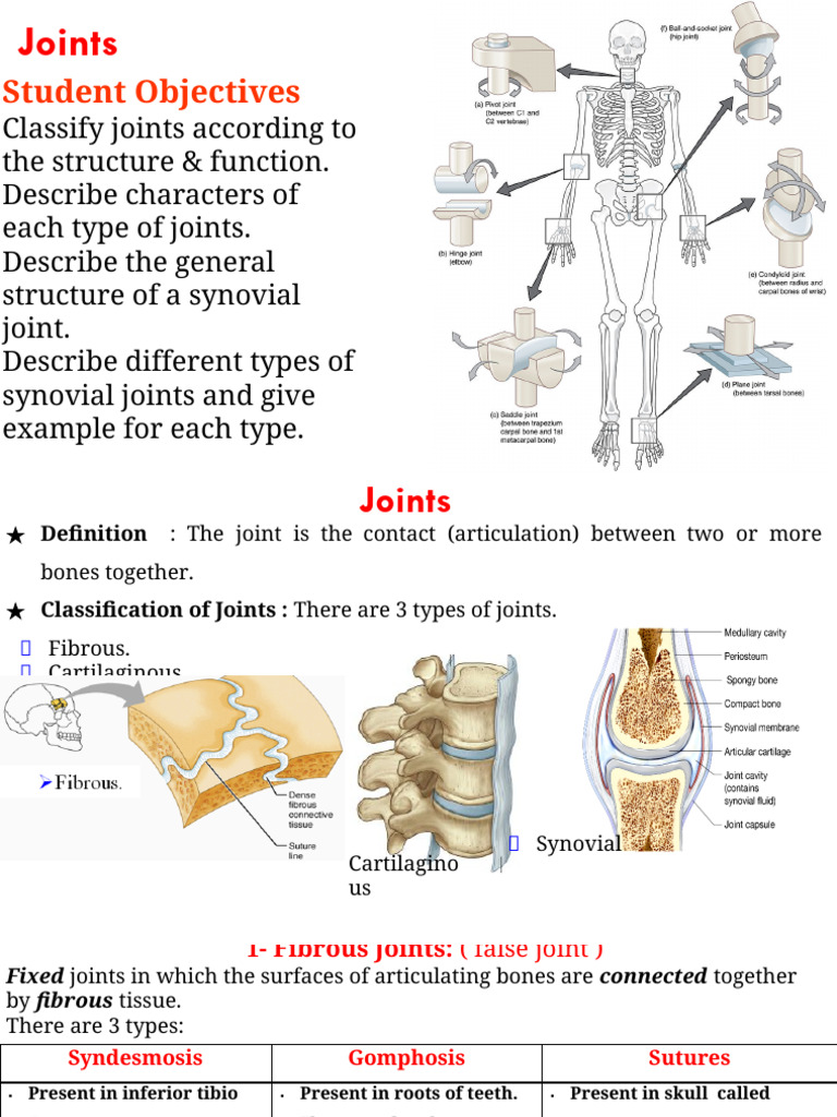 6 Joint | PDF | Anatomical Terms Of Motion | Joint