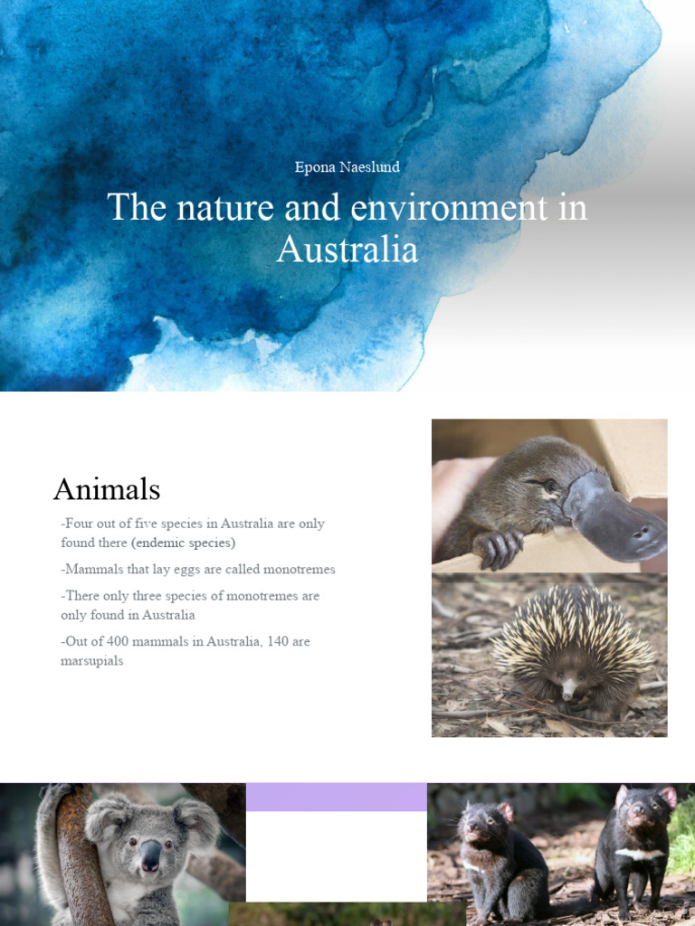The Nature and Environment in Australia: Epona Naeslund | PDF