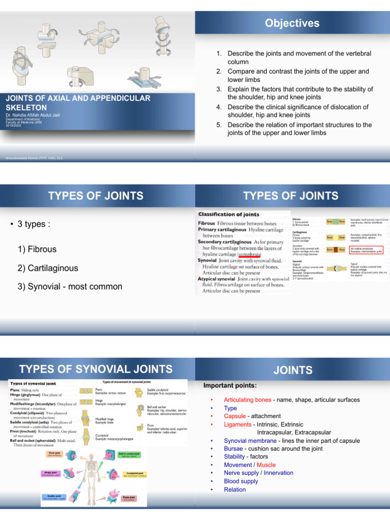 L2 Joints of Axial Appendicular Skeleton - 2020-2021 - Compressed | PDF ...