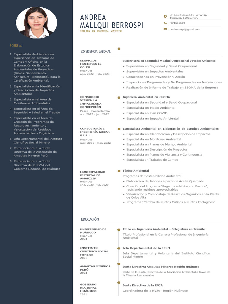 CV Andrea Mallqui Berrospi | PDF