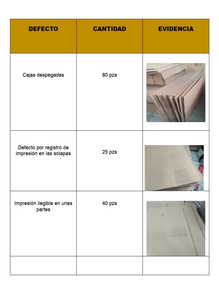 Informe de Defectos en Productos | PDF