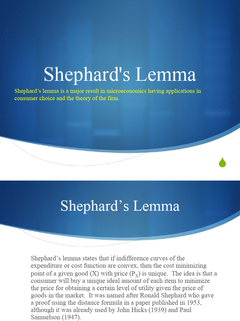 Shephard's Lemma | PDF | Finance & Money Management