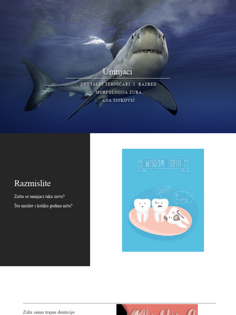 DT Morfologija Zuba Umnjaci 1 R | PDF