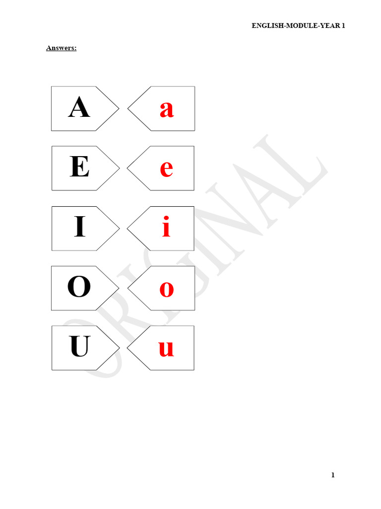 Answers Y1 BI MODULE 2023 | PDF