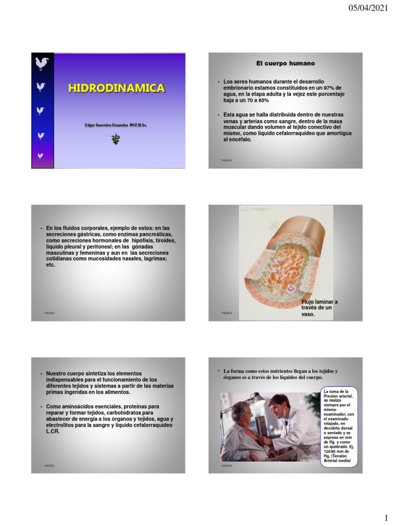 Hidrodinamica | Descargar gratis PDF | Artería | Presión