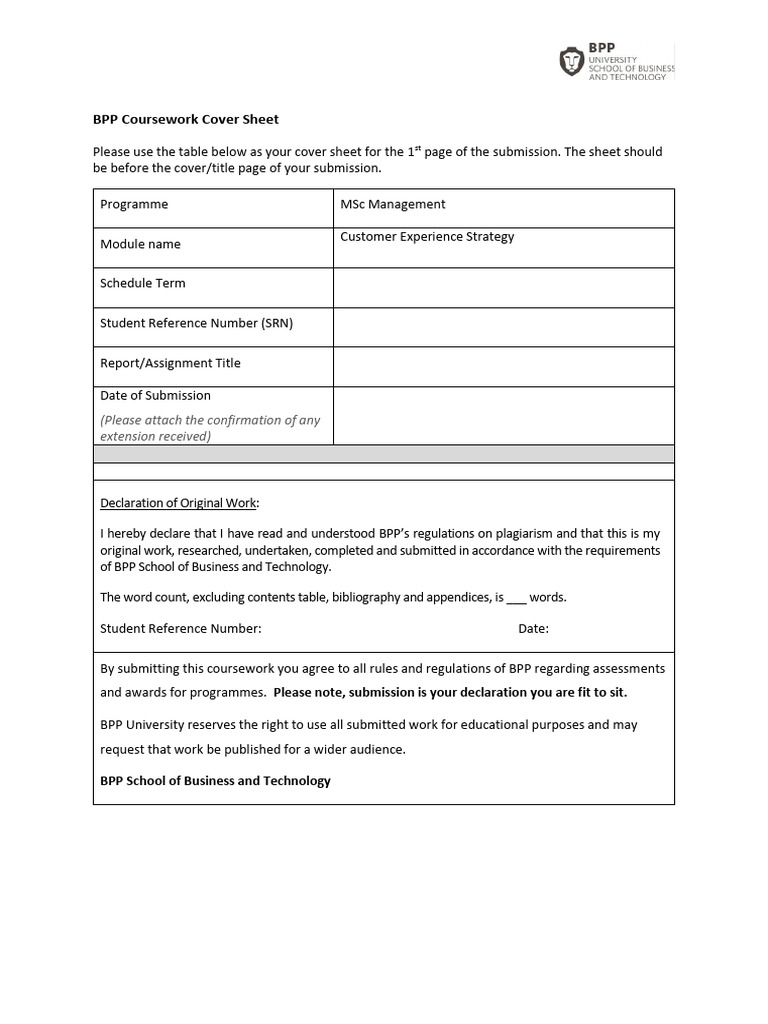 CES CW2 Summative Brief | PDF | Customer Experience | Marketing