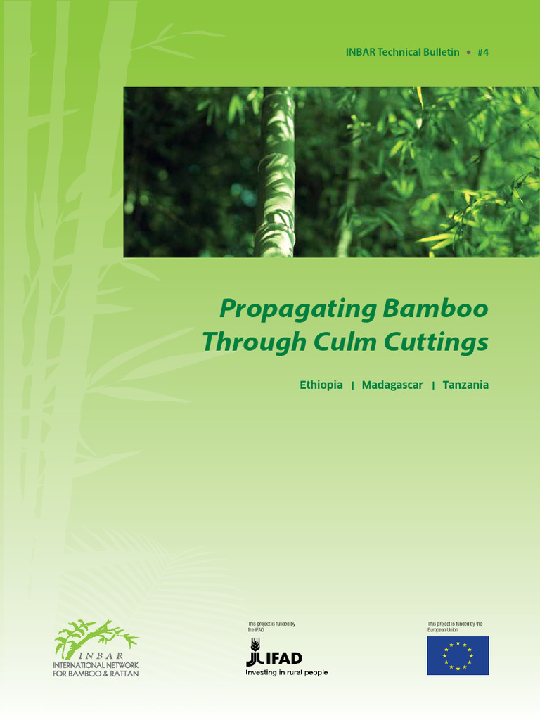 Propagating Bamboo Through Culm Cuttings: INBAR Technical Bulletin #4 ...